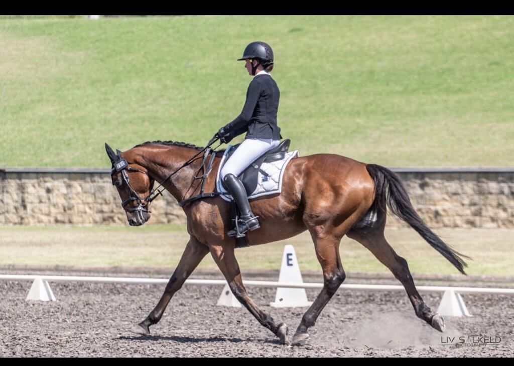 "Specially Slow Horses" Equimillion Competition - Kick Up